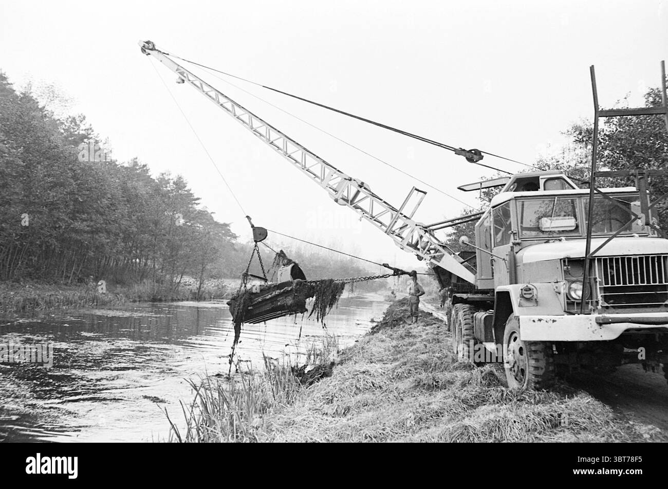 Heavy moss Black and White Stock Photos & Images - Alamy