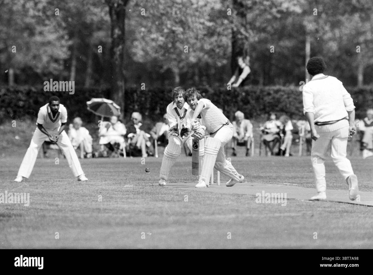 Vibrant green cricket field set hi-res stock photography and images - Alamy
