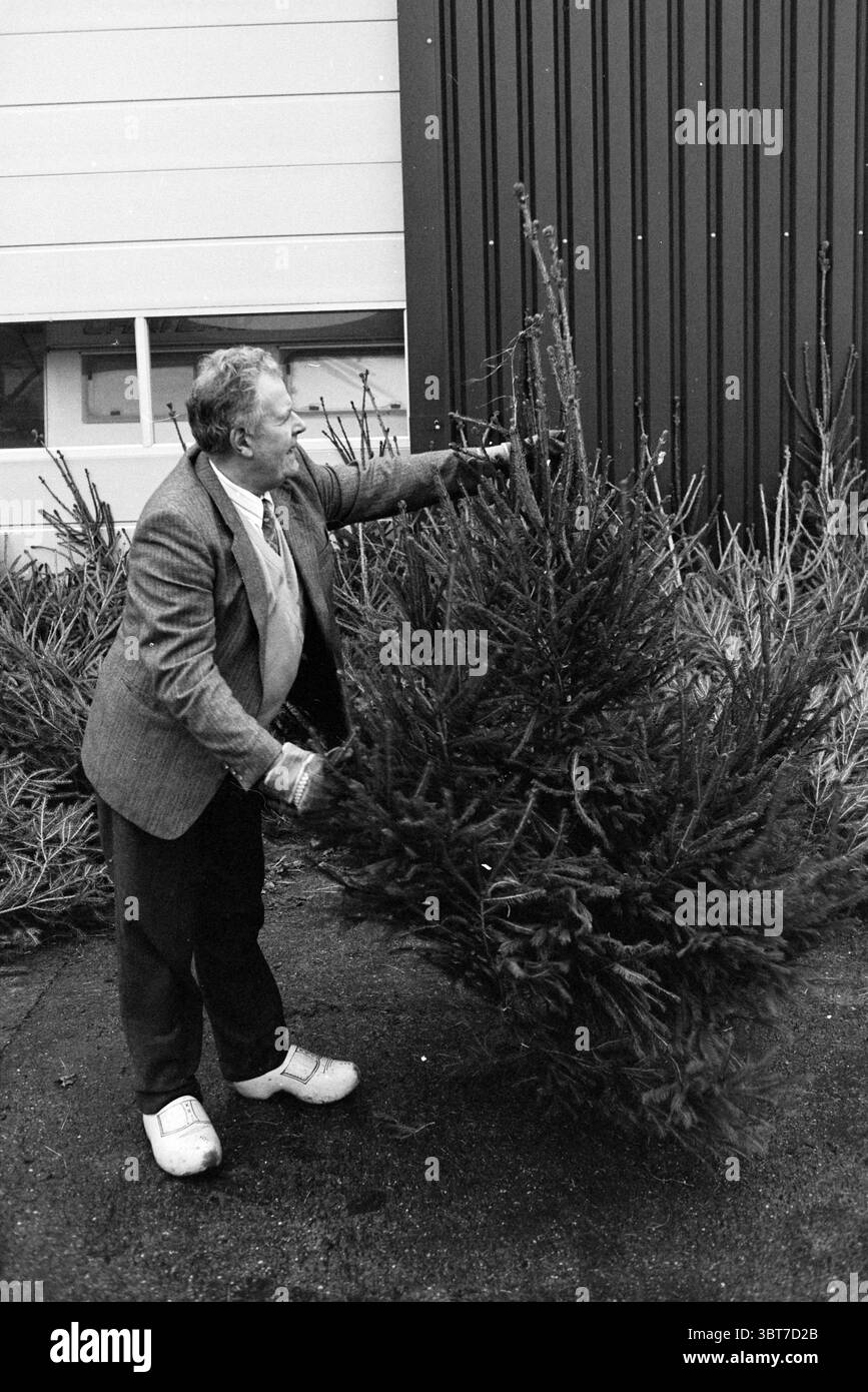 Christmas tree appears on light hi-res stock photography and images - Alamy