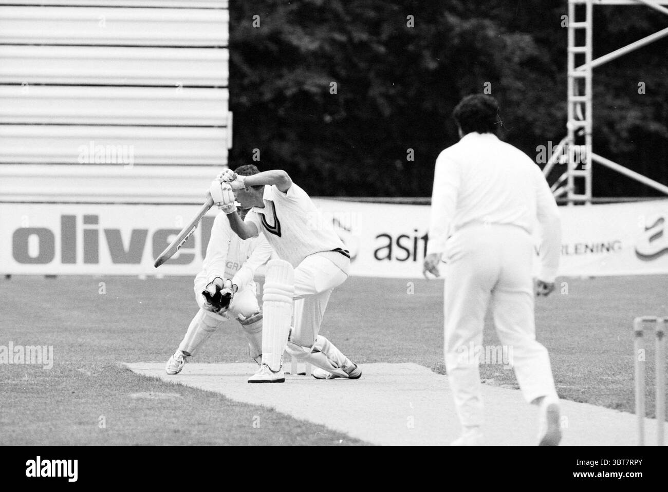 Cricket Red and White - Bloemendaal, Whizgle News, Dutch Desk, The ...