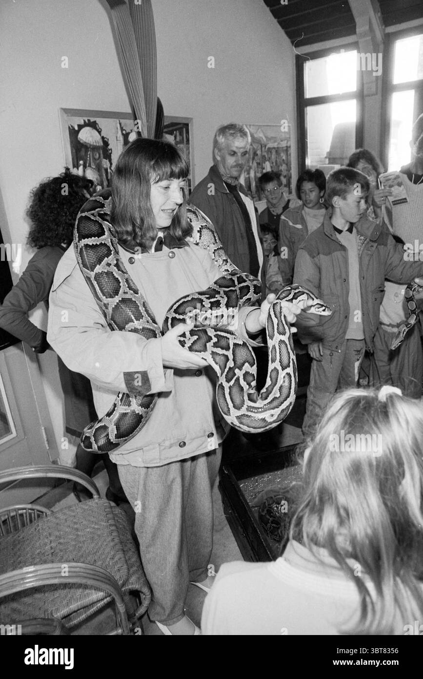 Animated snake scene hi-res stock photography and images - Alamy