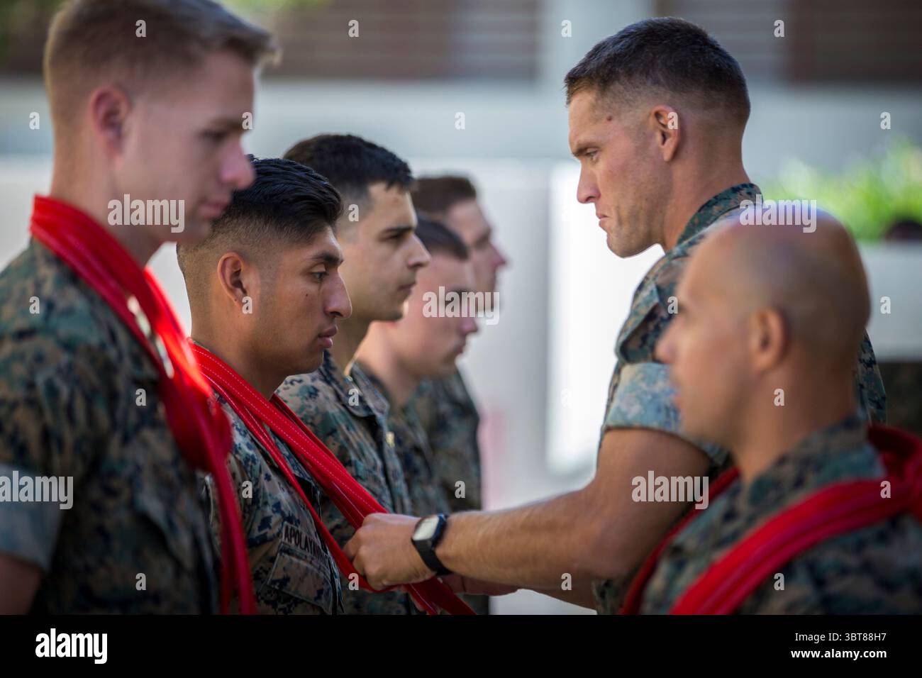 Blood stripe ceremony hi-res stock photography and images - Alamy
