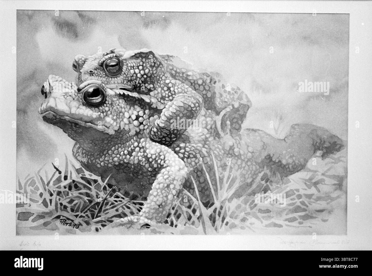 Showcases unique characteristics Black and White Stock Photos & Images ...