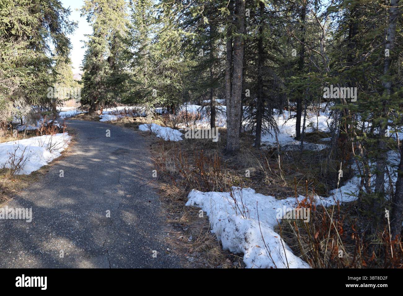 Trail in denali nat park hi-res stock photography and images - Alamy
