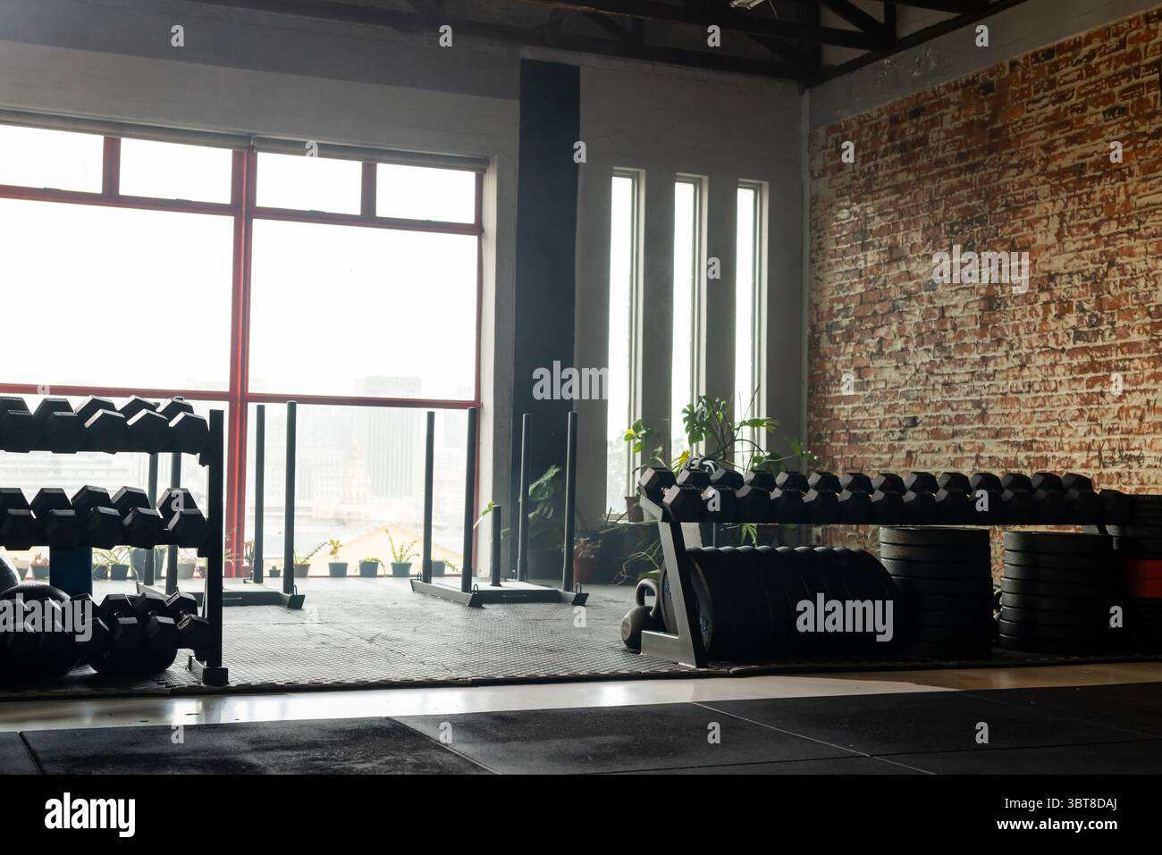Dumbbell rack holding hexagonal weights and plates on gym mats near red ...