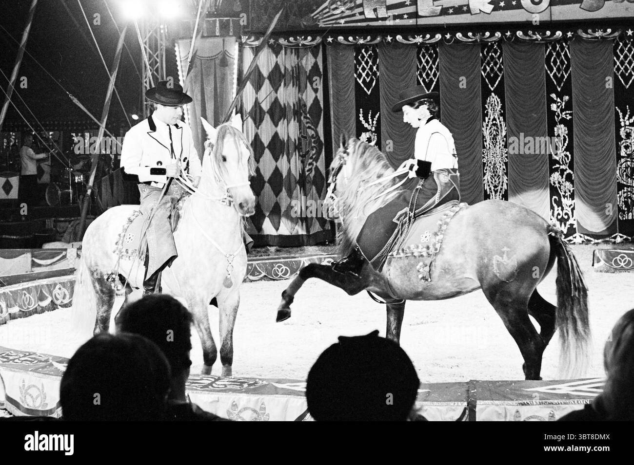 Circus performance with horses.., Whizgle News, Dutch Desk, The ...
