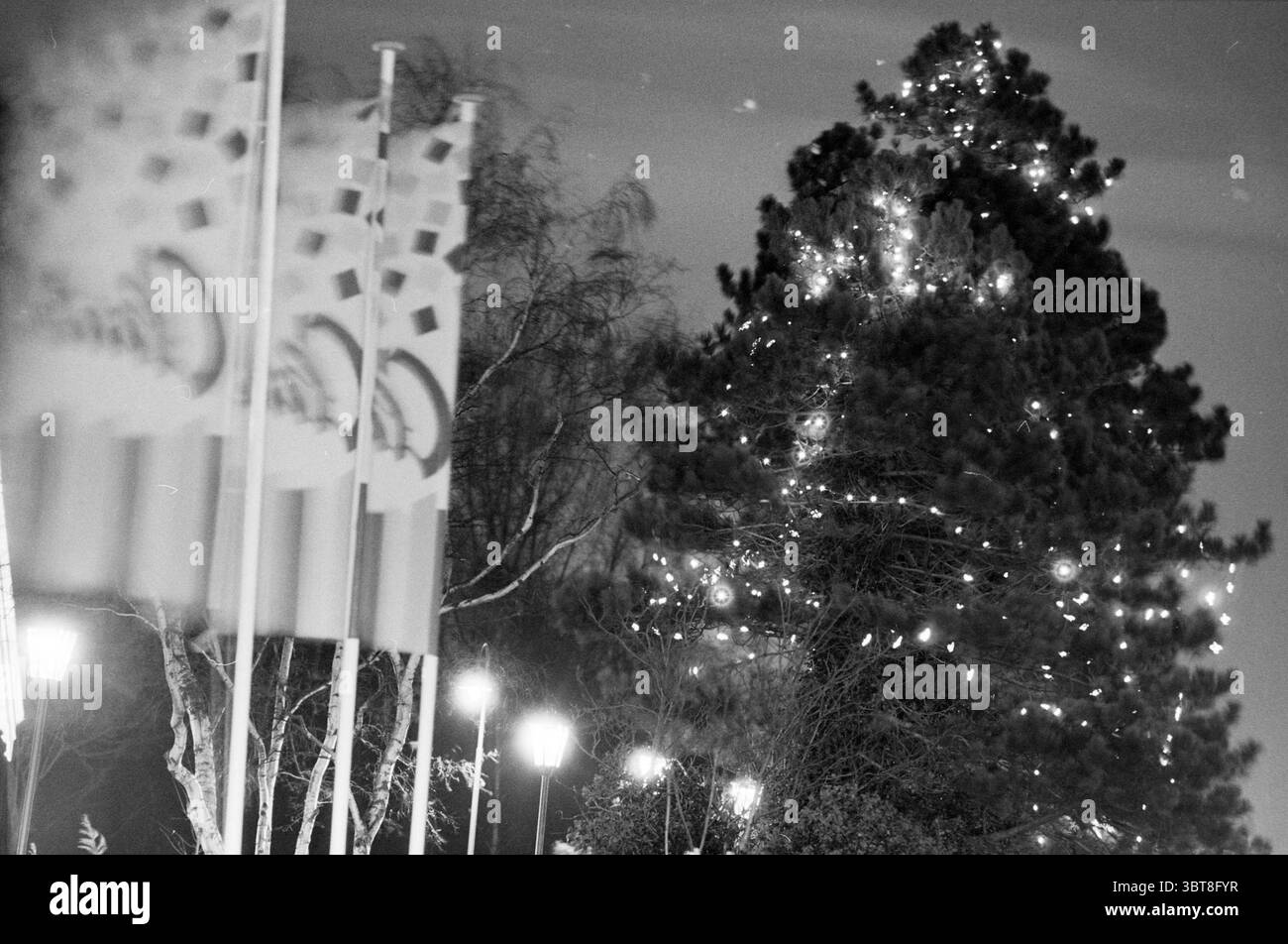 Christmas tree Claus Hoofddorp The Netherlands, Whizgle News, Dutch ...