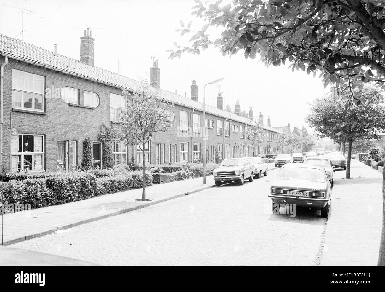 Urban greenery on brick Black and White Stock Photos & Images - Alamy