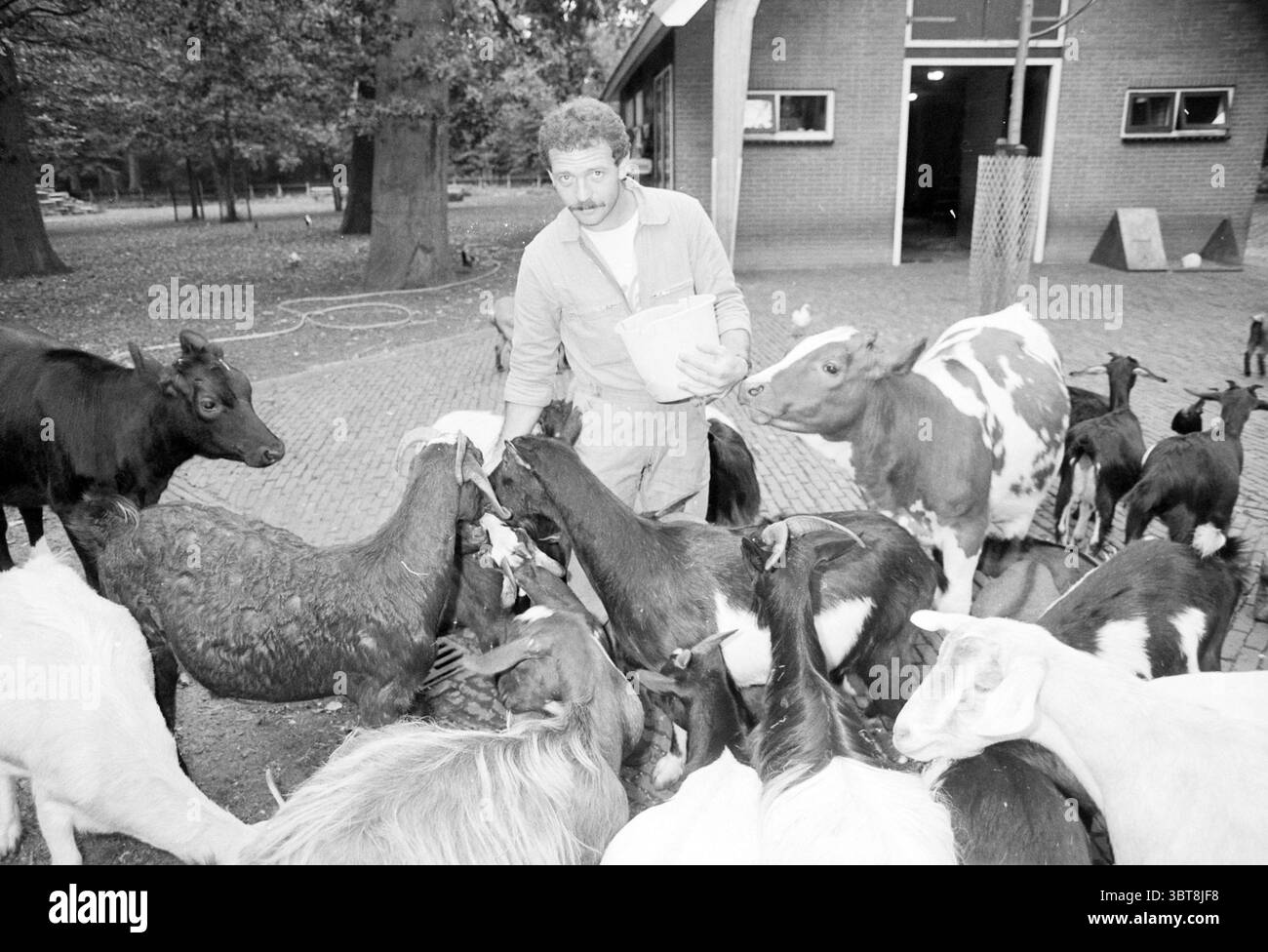 Array size Black and White Stock Photos & Images - Alamy