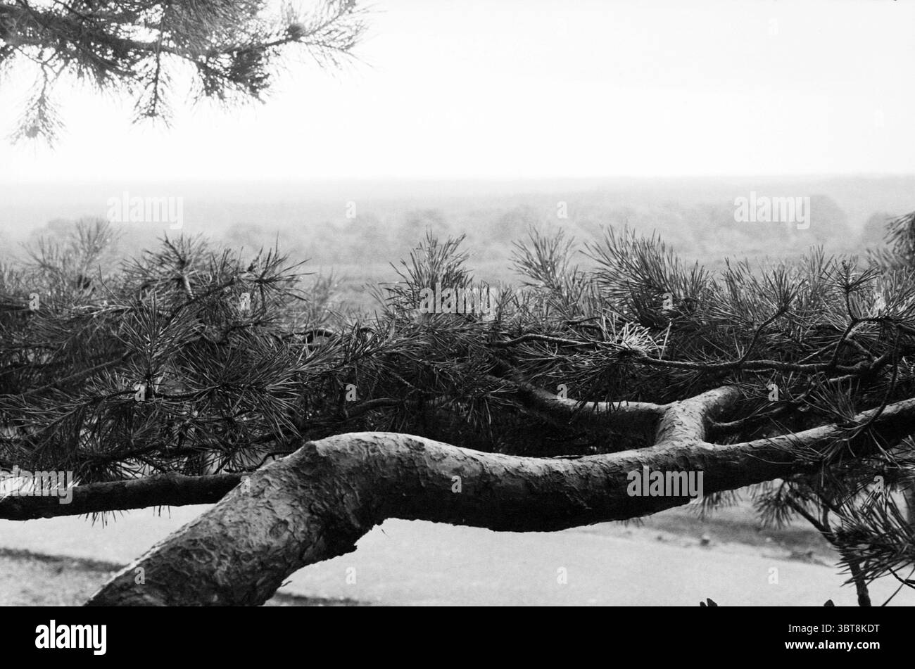 Land fades hi-res stock photography and images - Alamy