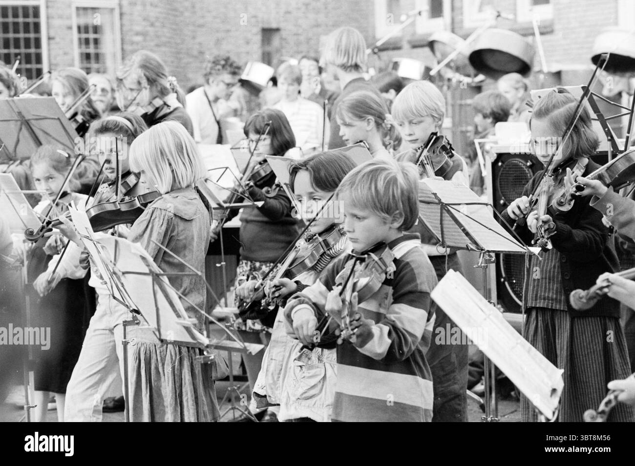 Primarily violins hi-res stock photography and images - Alamy