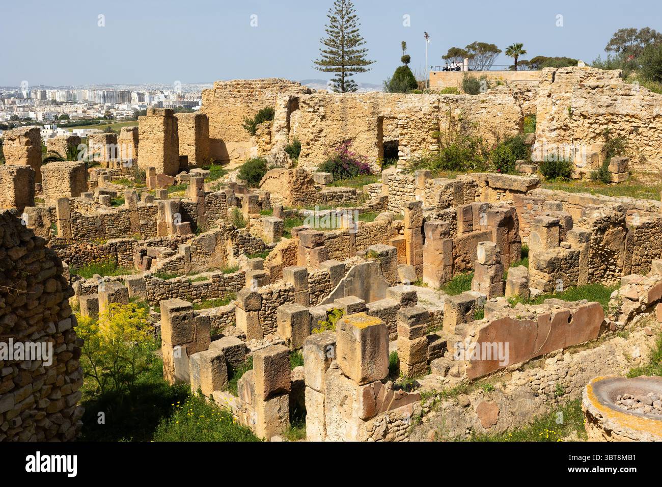 Ruins of house of Hannibal at the excavations of Carthage Stock Photo ...