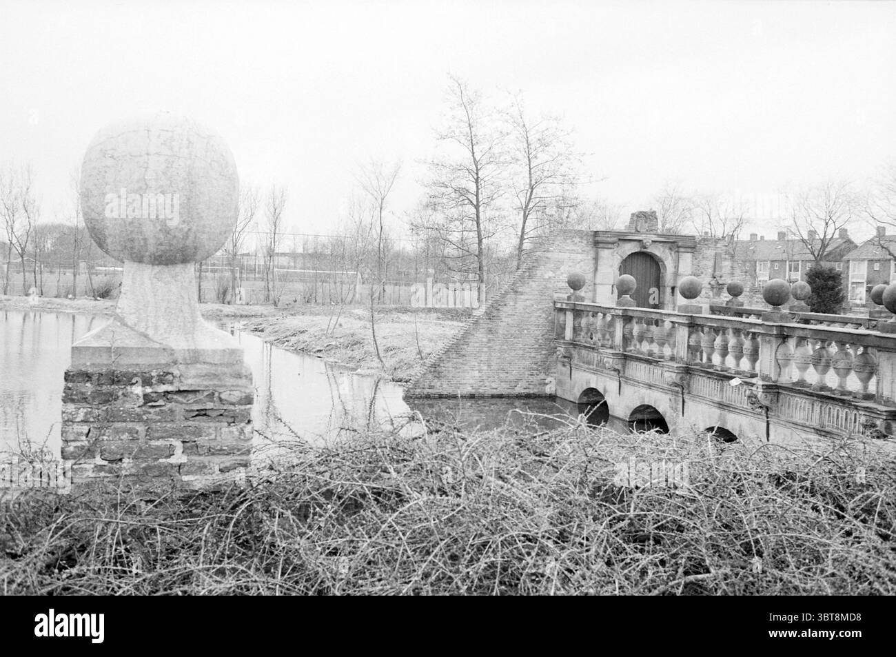 Nature mimic Black and White Stock Photos & Images - Alamy
