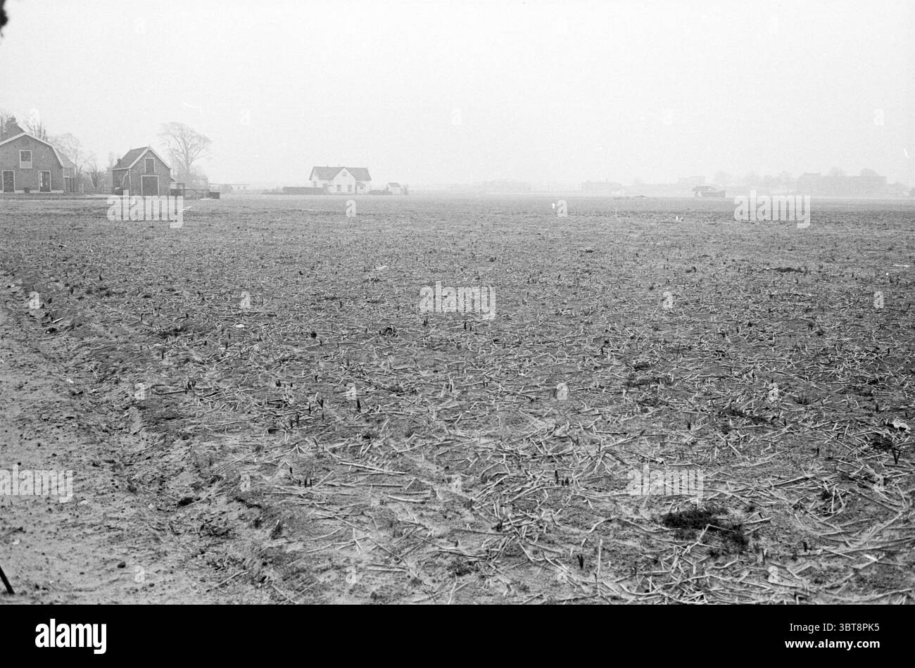 Little land Black and White Stock Photos & Images - Alamy