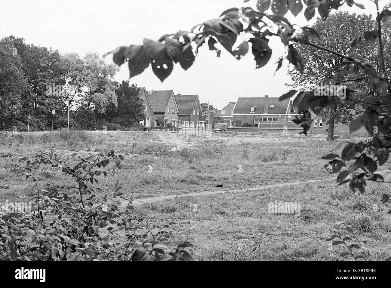 Bushy structures Black and White Stock Photos & Images - Alamy