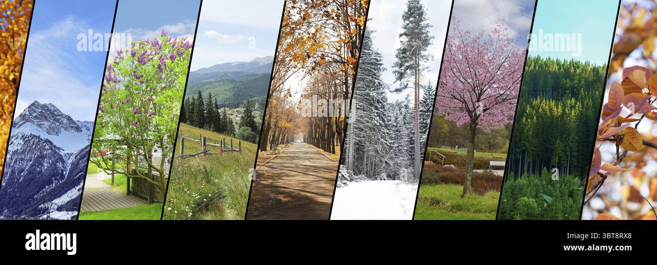 Set of different seasons in landscapes Stock Photo - Alamy