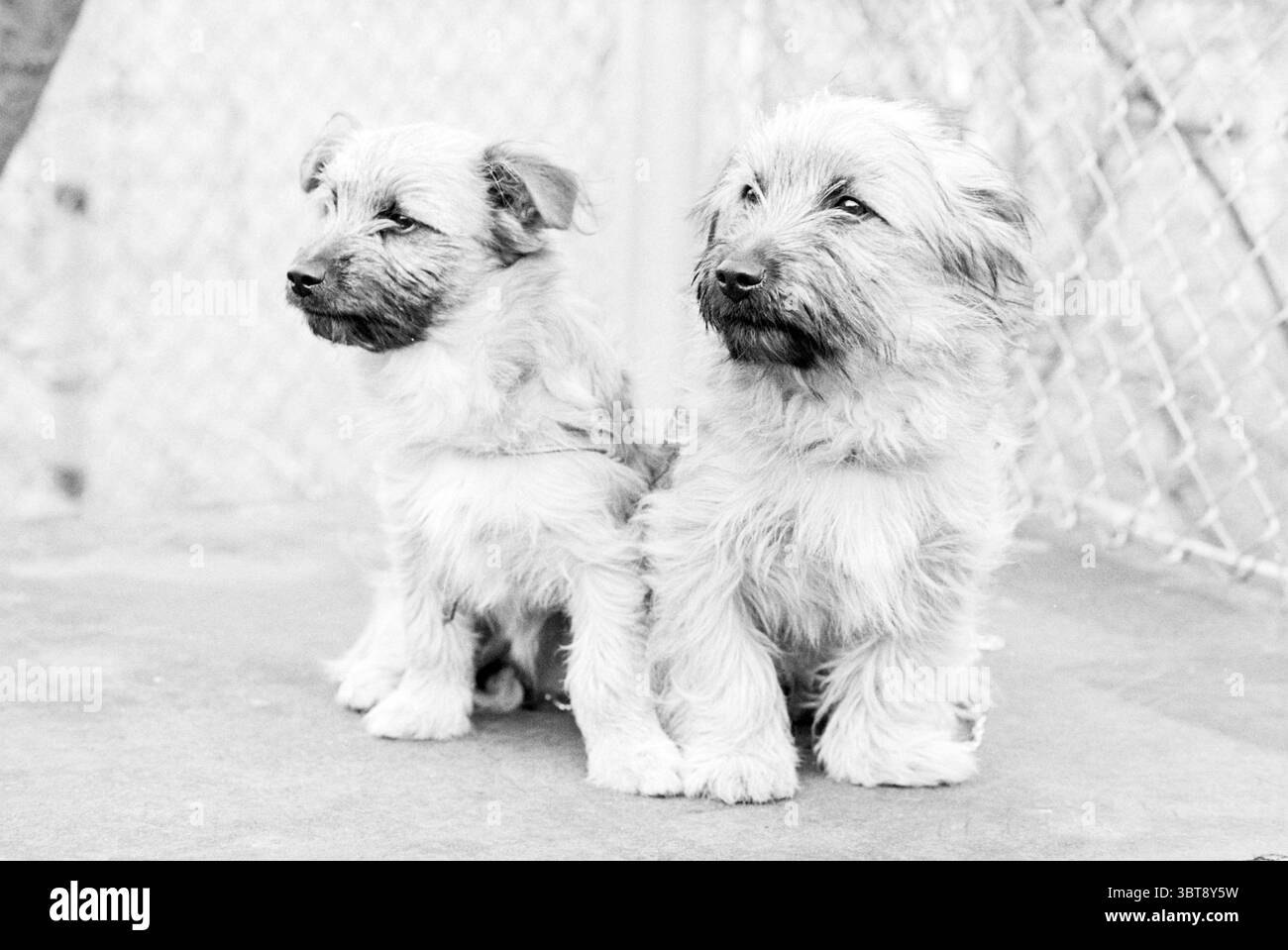 Bodies slightly turned hi-res stock photography and images - Alamy