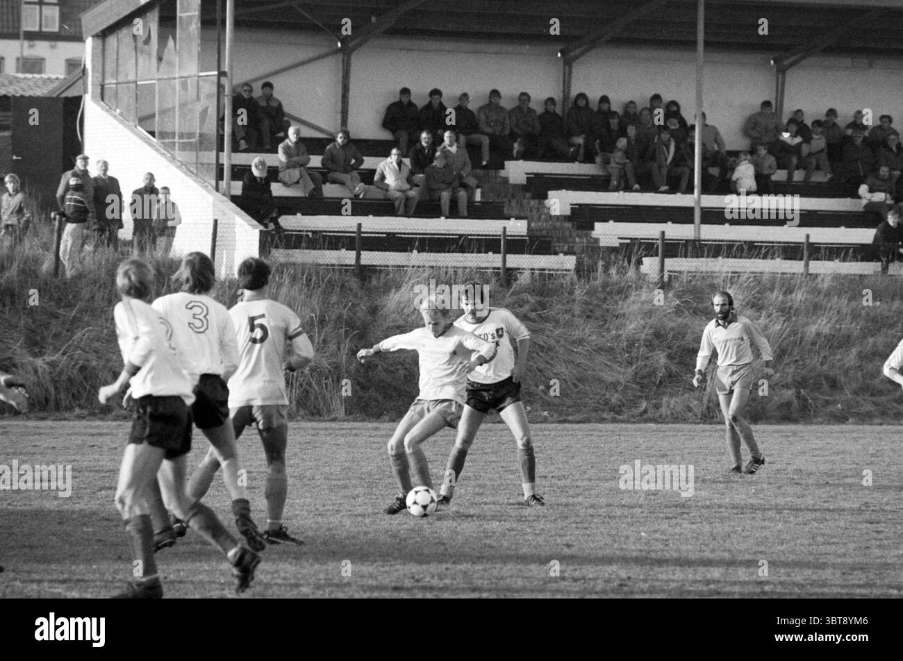 Zandvoort meeuwen alcmaria vitrix hi-res stock photography and images - Alamy