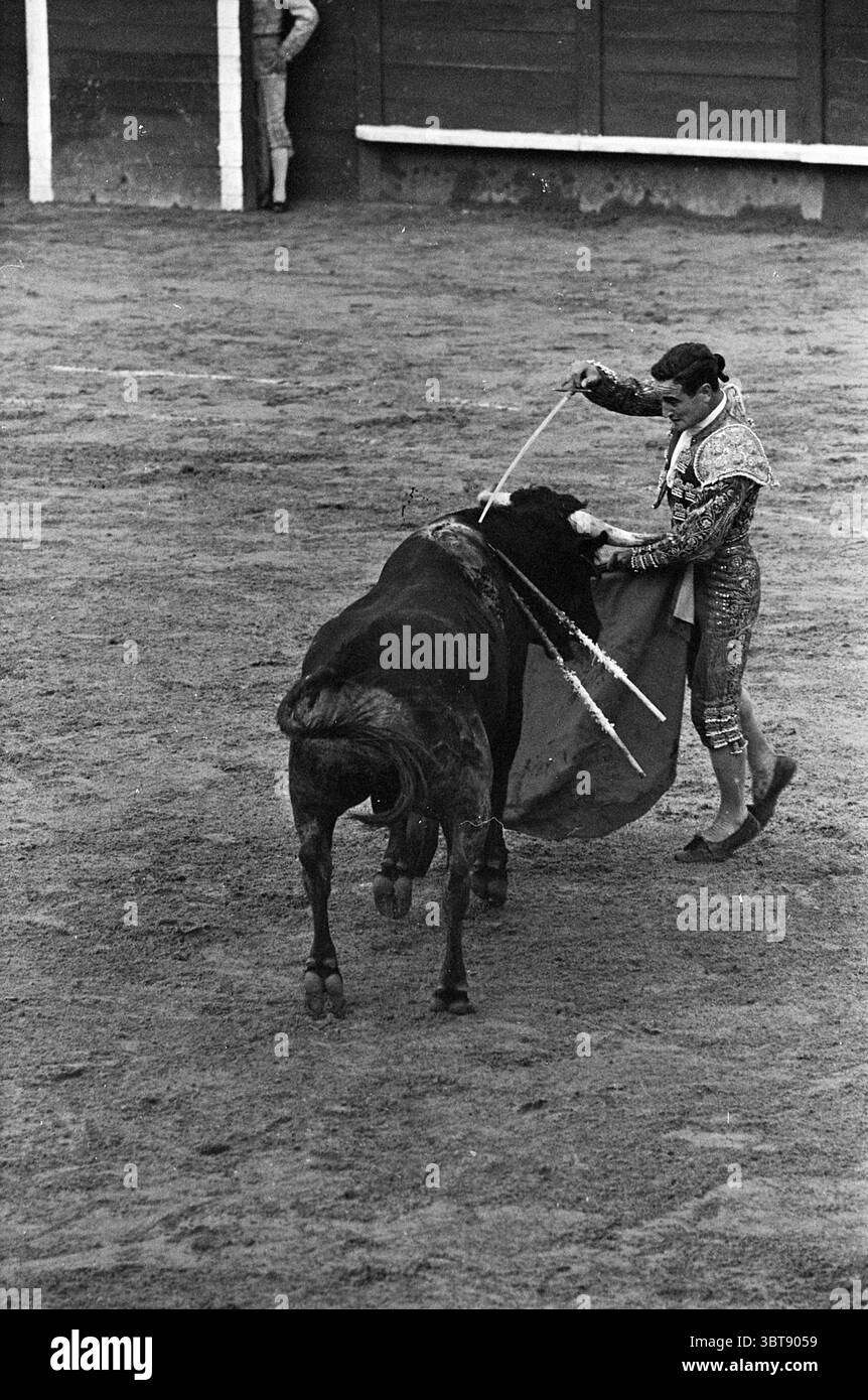 Traje de red Black and White Stock Photos & Images - Alamy