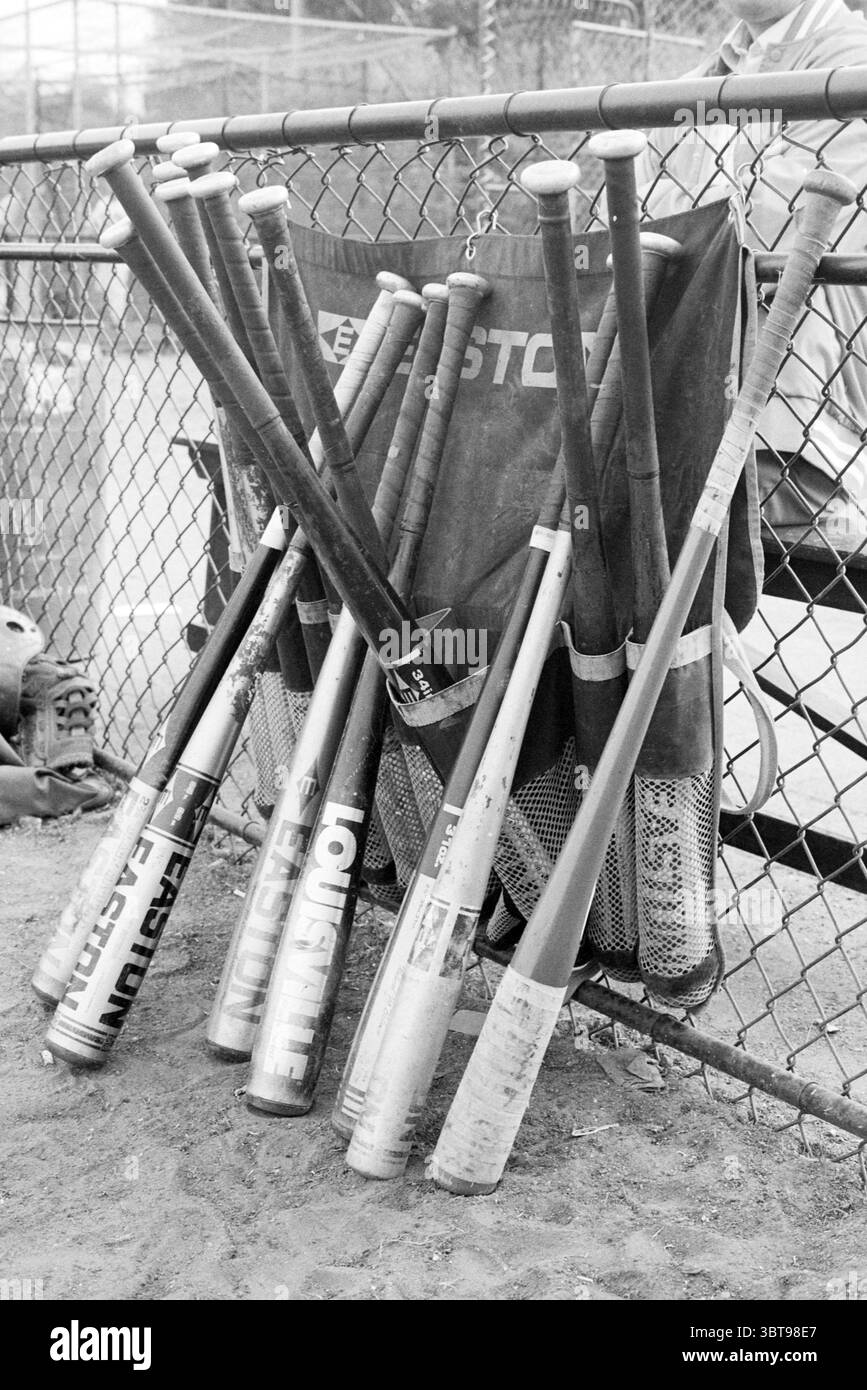 Bats vary hi-res stock photography and images - Alamy