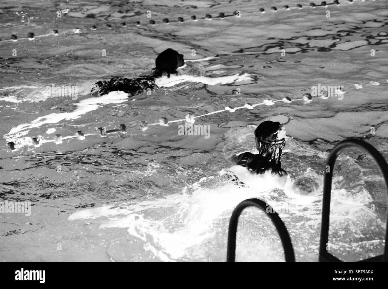 Swimming marathon De Hoogeberg IJmuiden IJmuiden The Netherlands ...