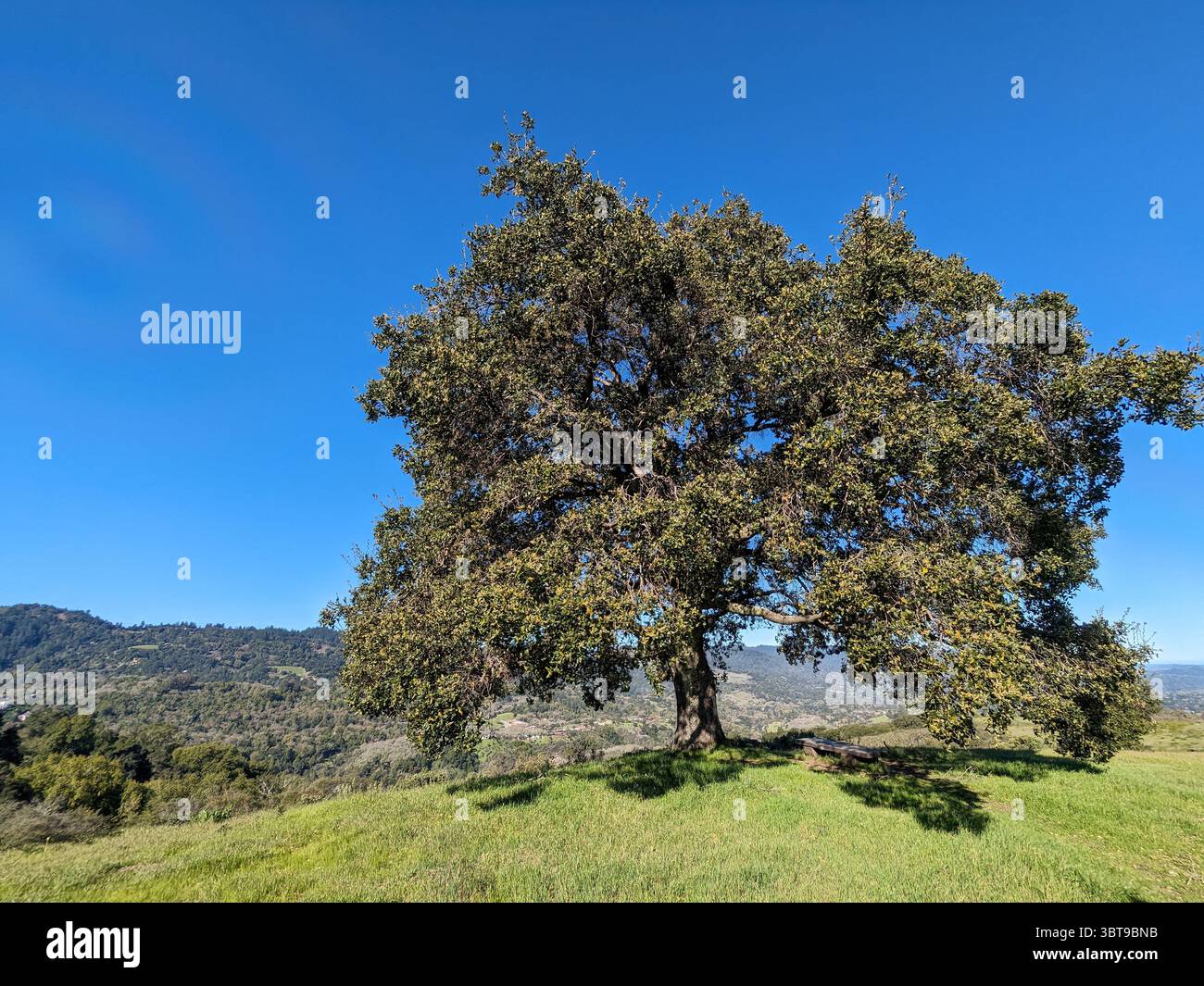 Foothill area hi-res stock photography and images - Alamy
