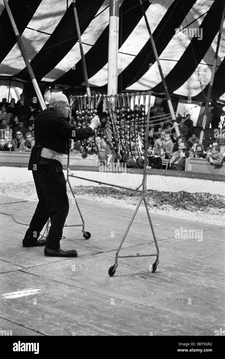 Circus Toni Boltini and shooting bear Circus, Whizgle News, Dutch Desk ...