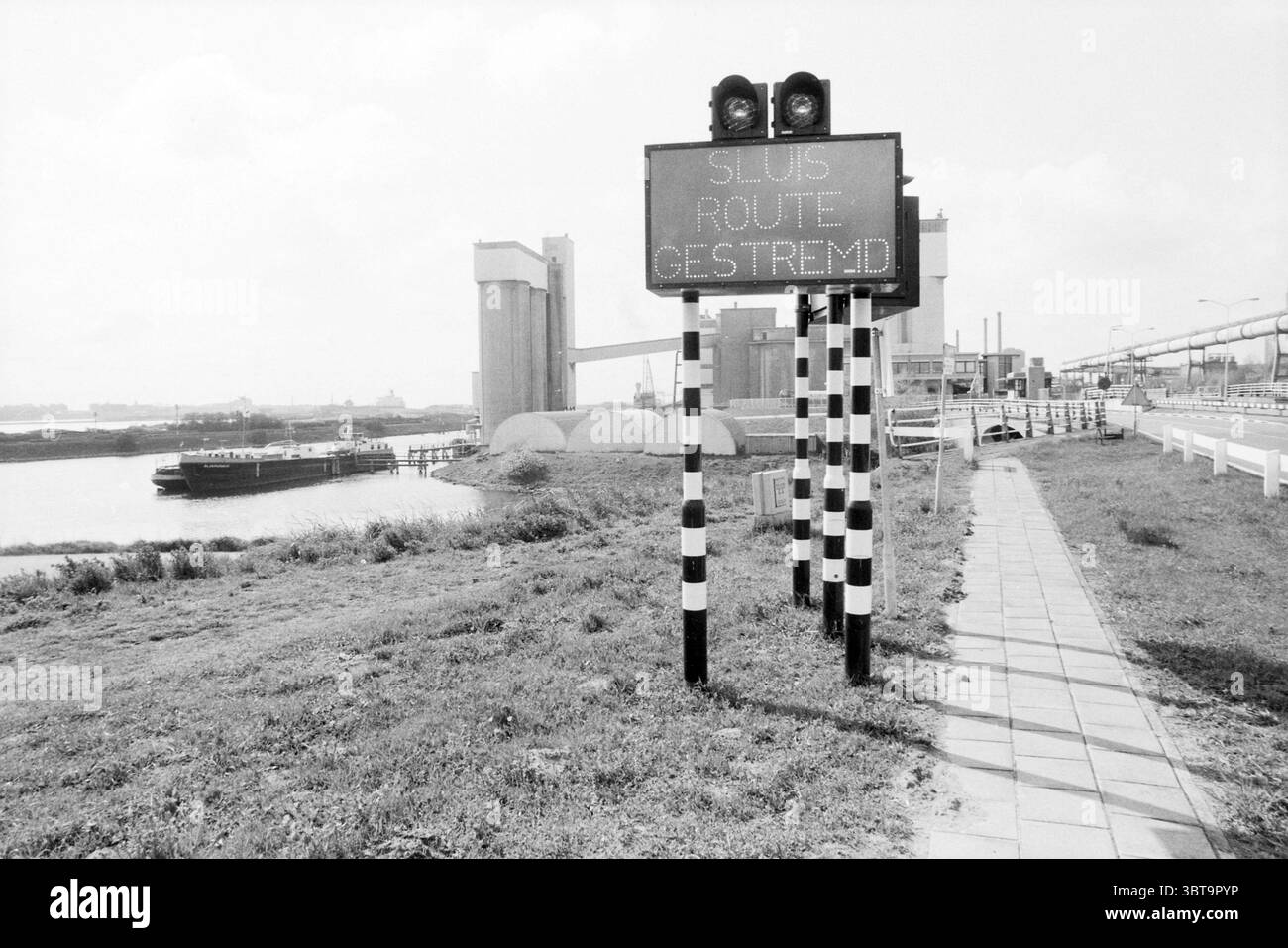 Eye light processing pathway hi-res stock photography and images - Alamy