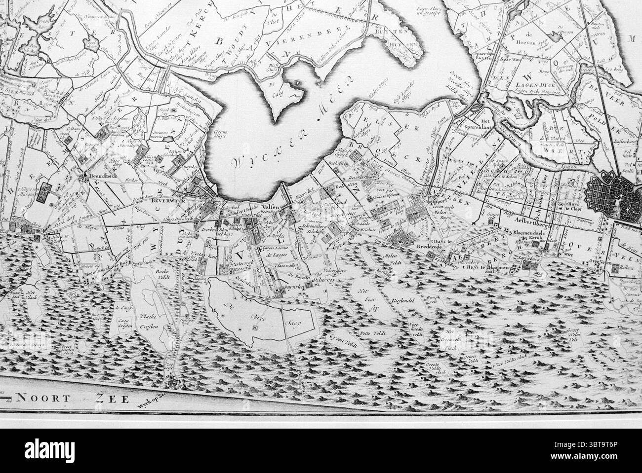 Intricate contours Black and White Stock Photos & Images - Alamy