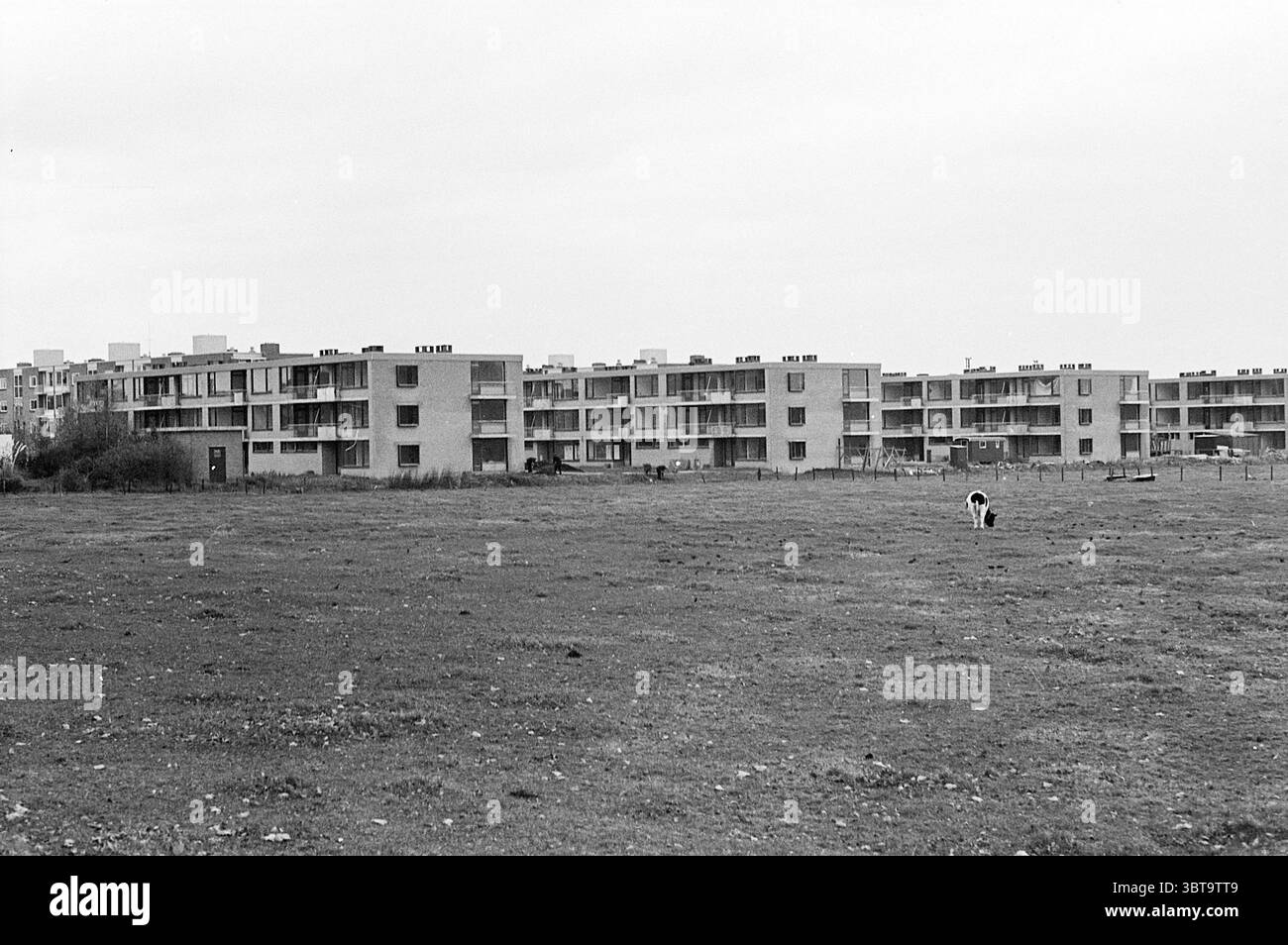 Three storey flats adjacent hi-res stock photography and images - Alamy