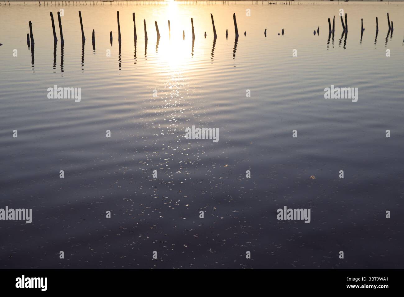 Odessa, Ukraine. 13th July, 2025. Salt water and the permitted old ...