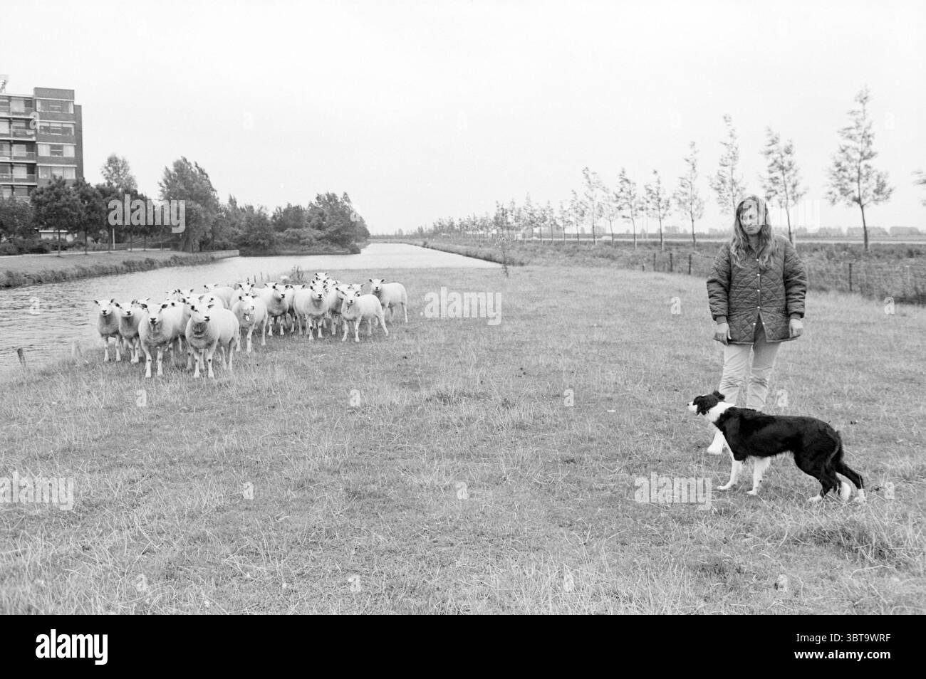 Mrs fox Black and White Stock Photos & Images - Alamy