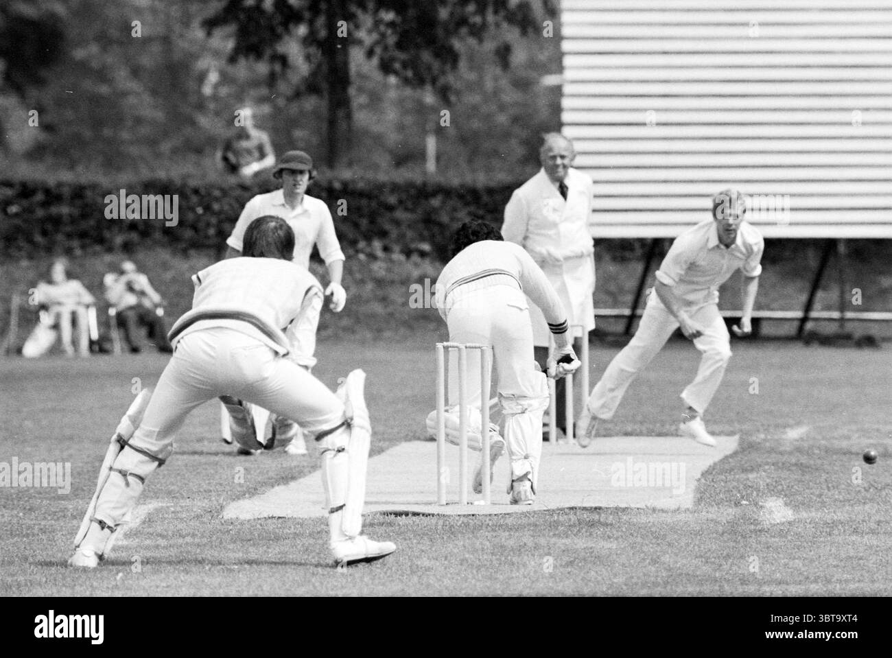 Bloemendaal - Lapwings Cricket, Whizgle News, Dutch Desk, The ...