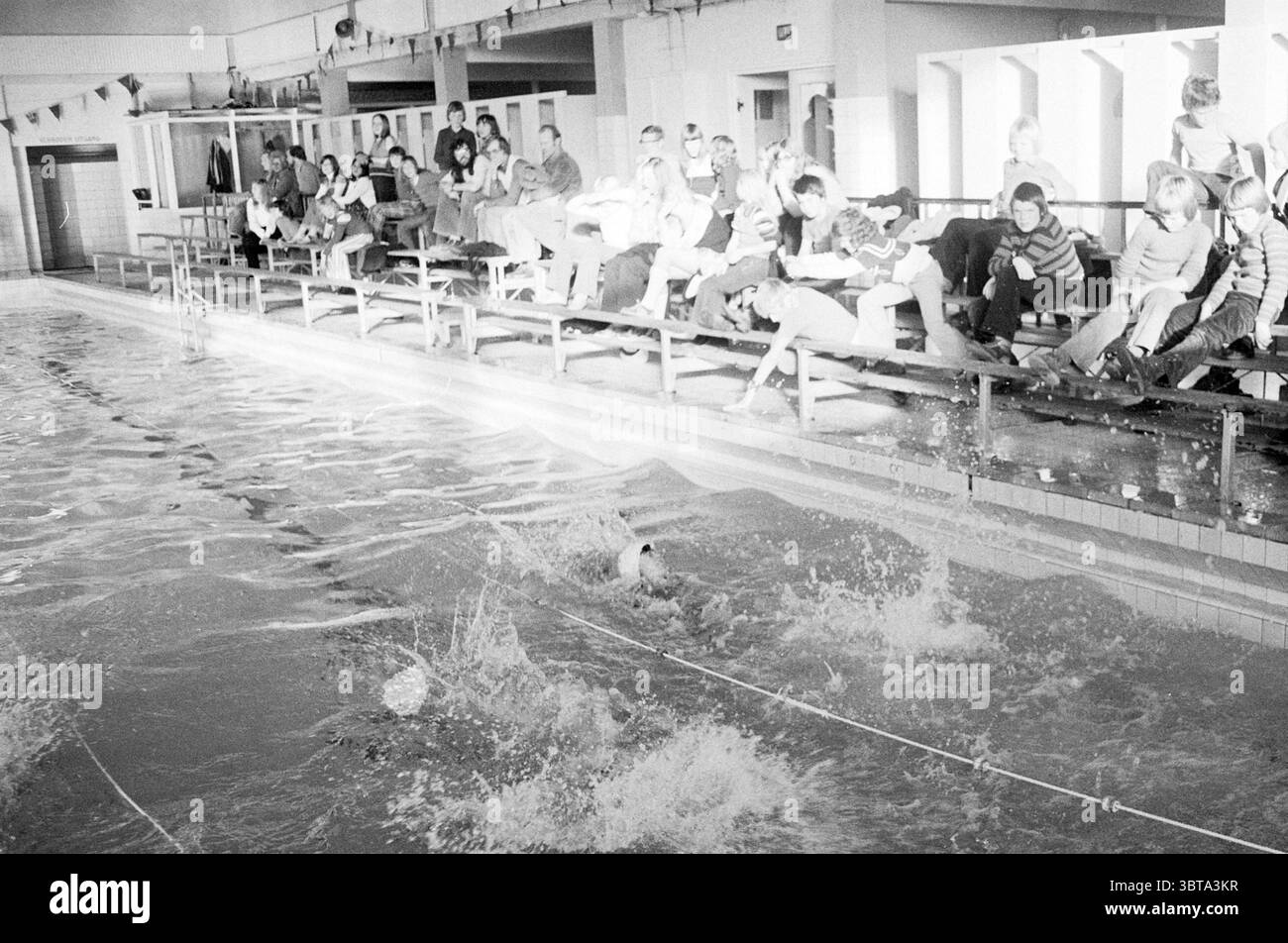 Swimming competition, Whizgle News, Dutch Desk, The Netherlands, 1950 ...