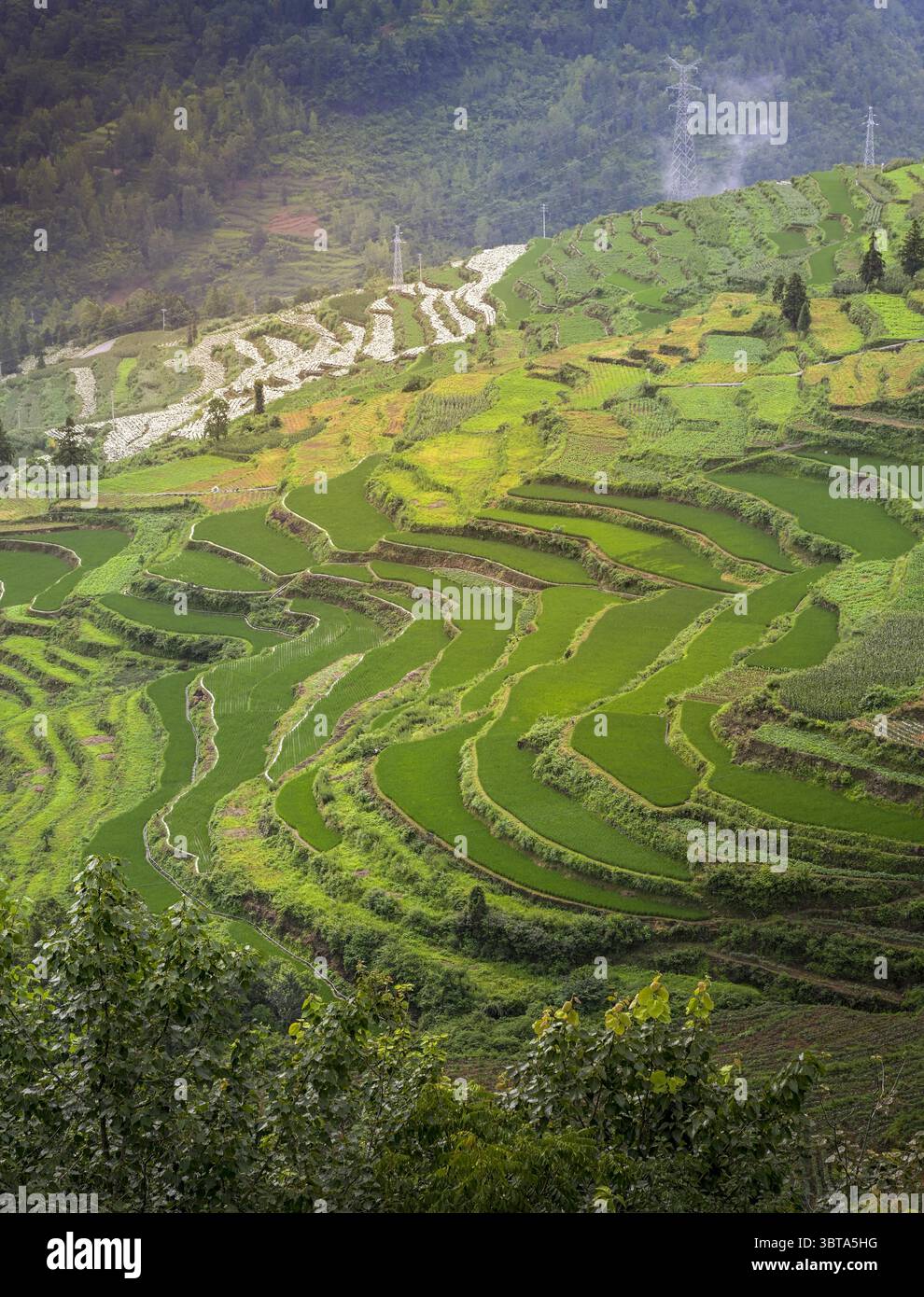 Aerial photo shows the terraced field in Youyang County, Chongqing ...