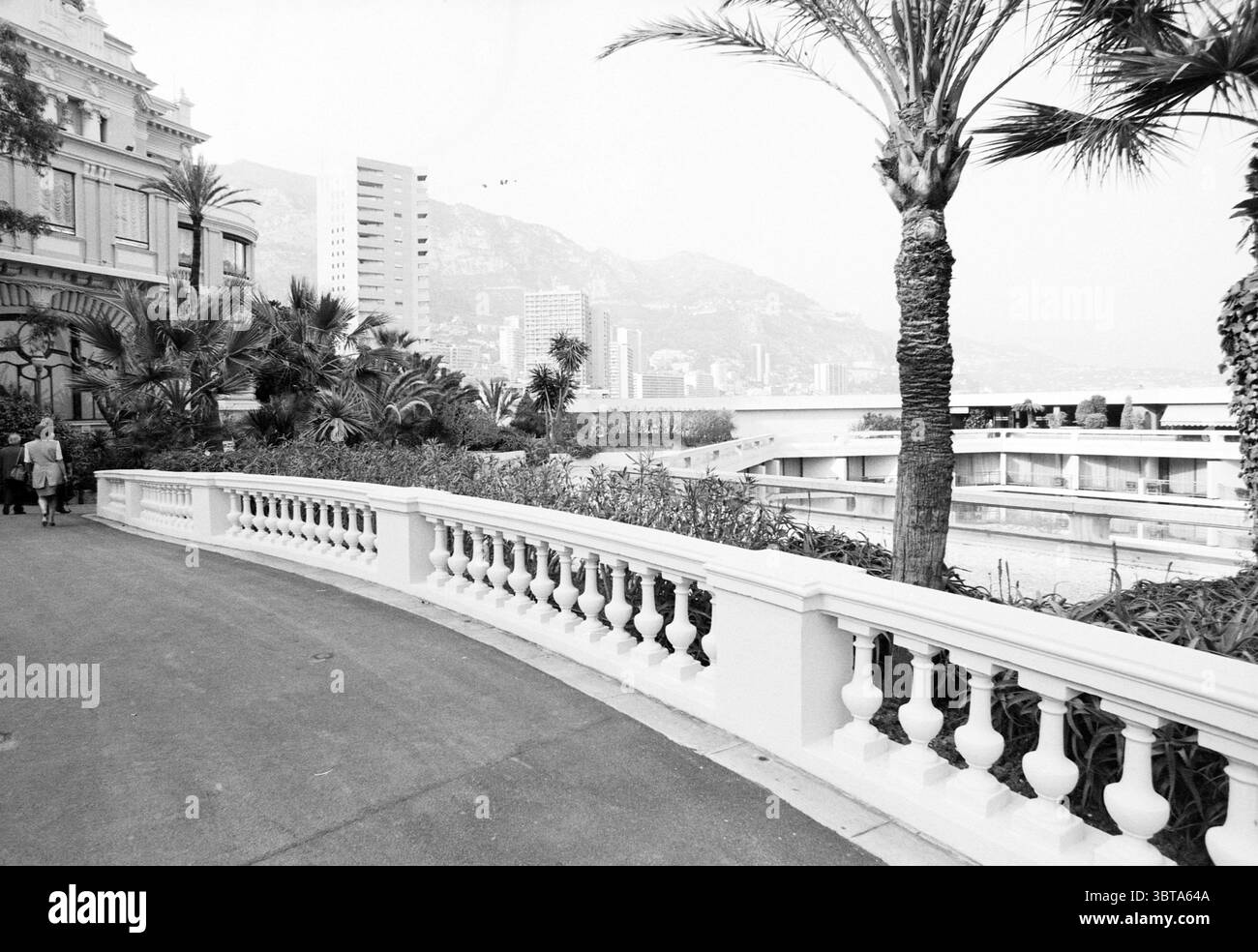 Palm trees tropical exterior architecture Black and White Stock Photos ...