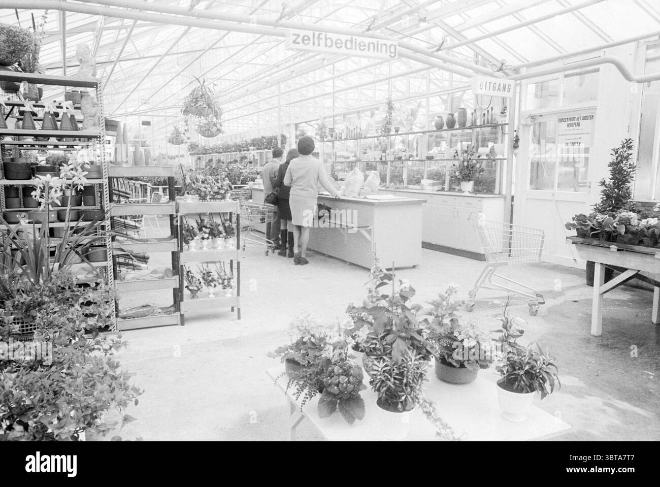 Flowers pour Black and White Stock Photos & Images - Alamy