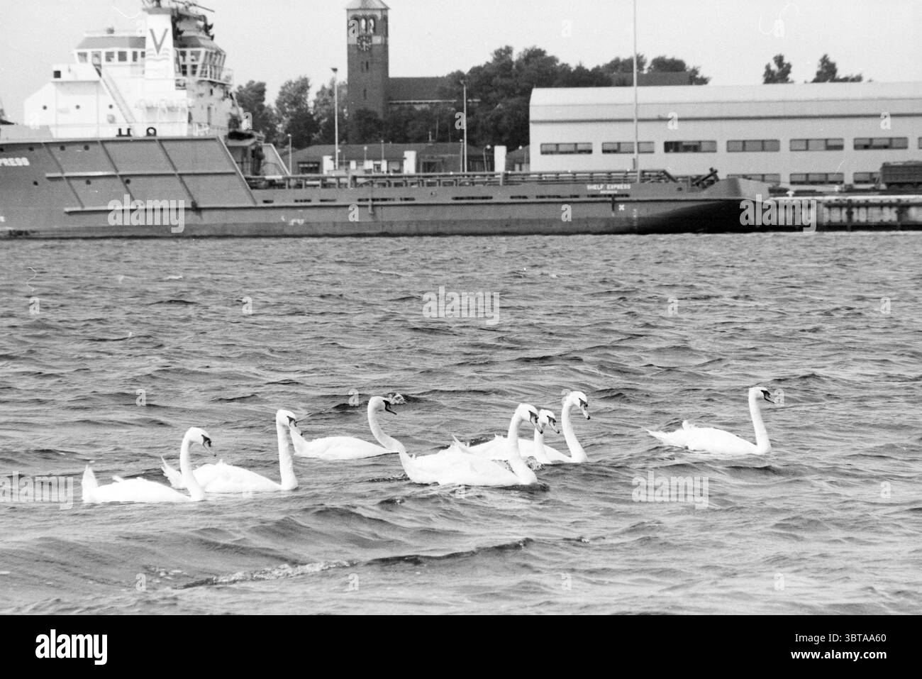 Vessel formation Black and White Stock Photos & Images - Alamy