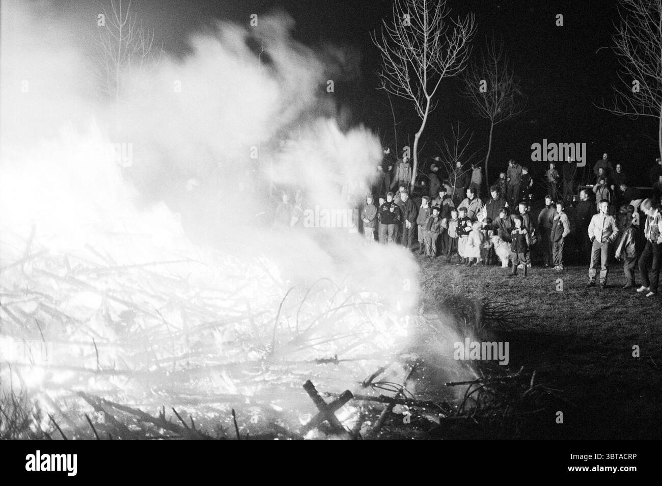 Large orange, tree Black and White Stock Photos & Images - Alamy