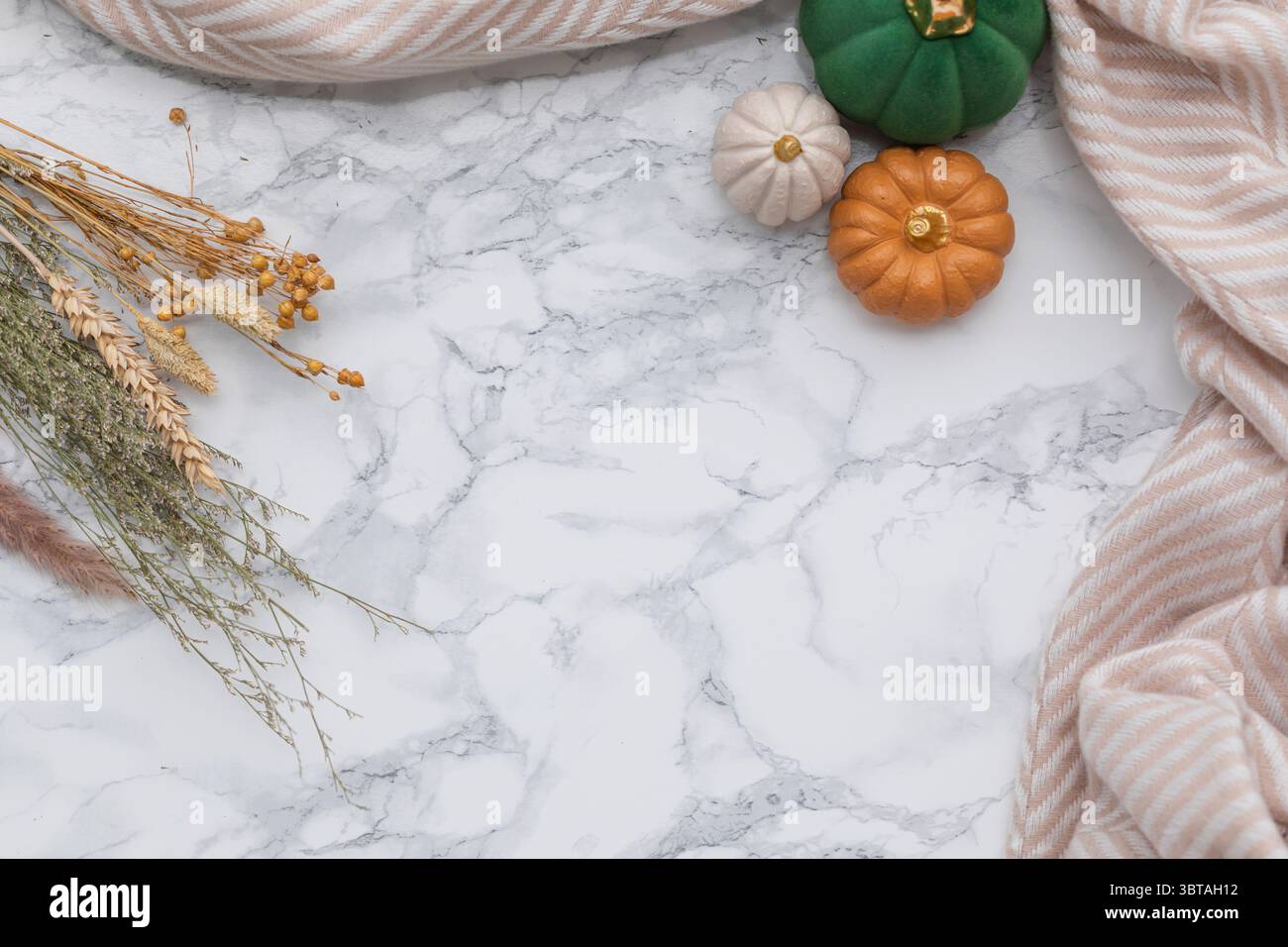 Elegant fall-themed image with neutral tones, mini pumpkins and ...