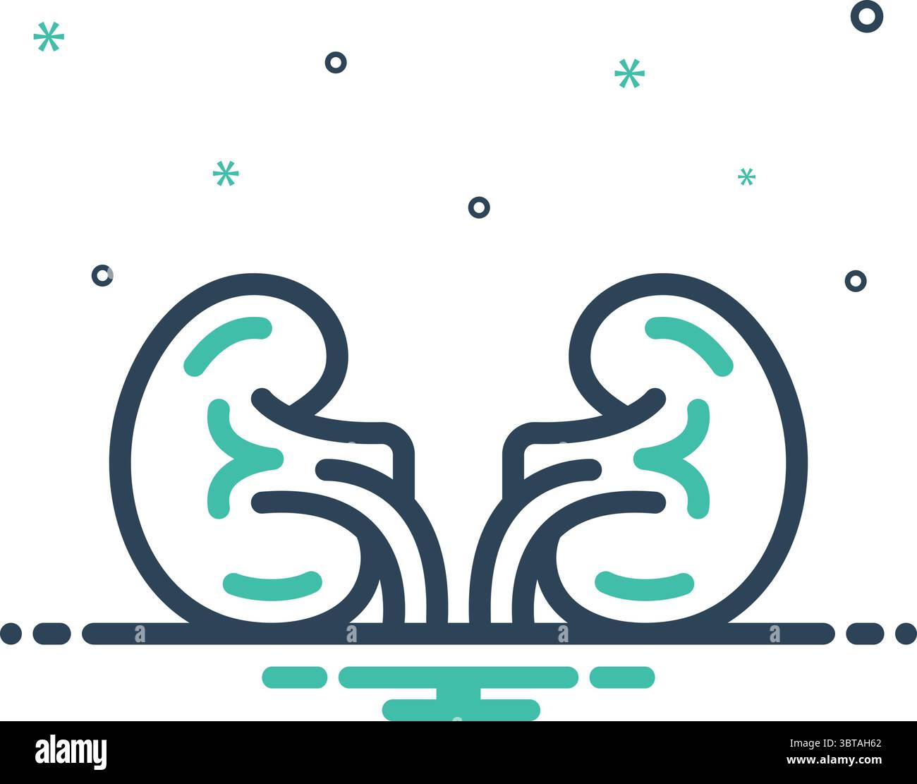 Kidney and nephron Stock Vector Images - Alamy