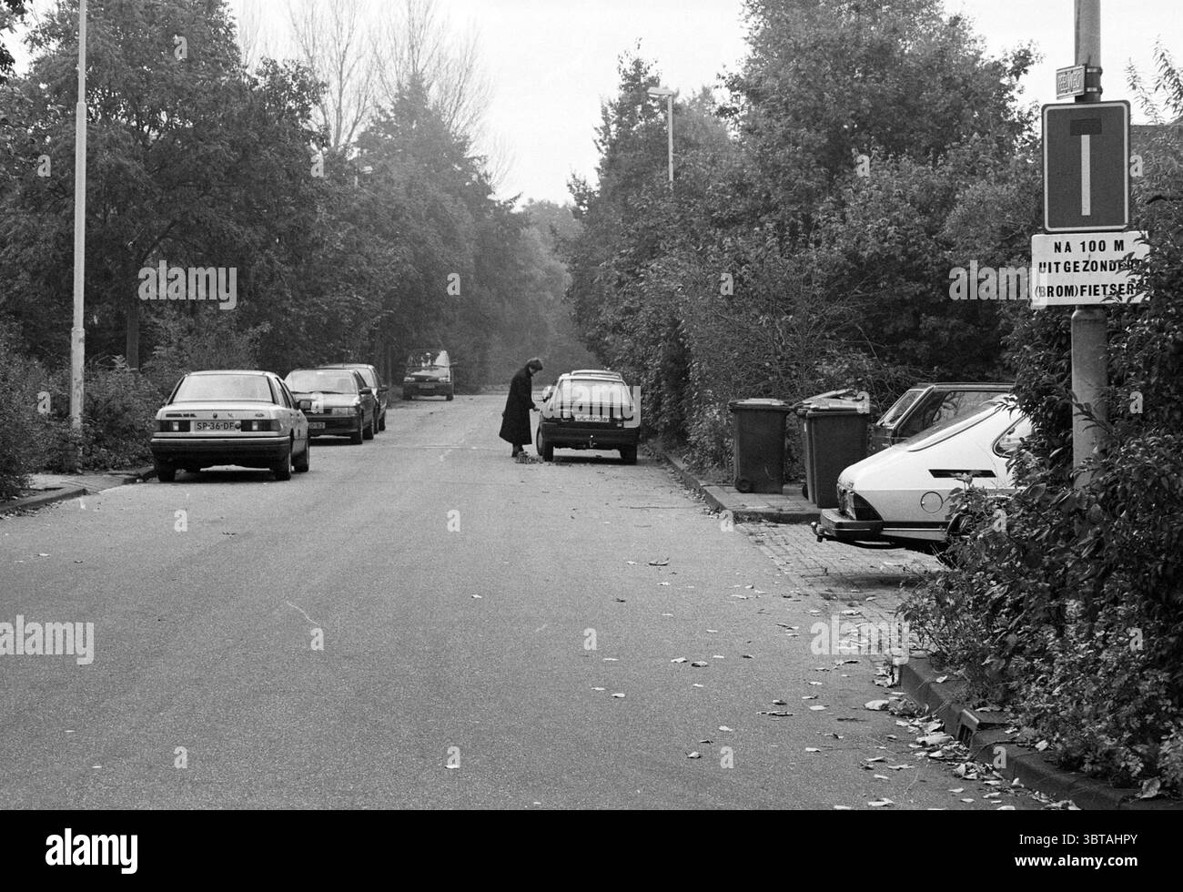 Autumn leaves one yellow Black and White Stock Photos & Images - Alamy