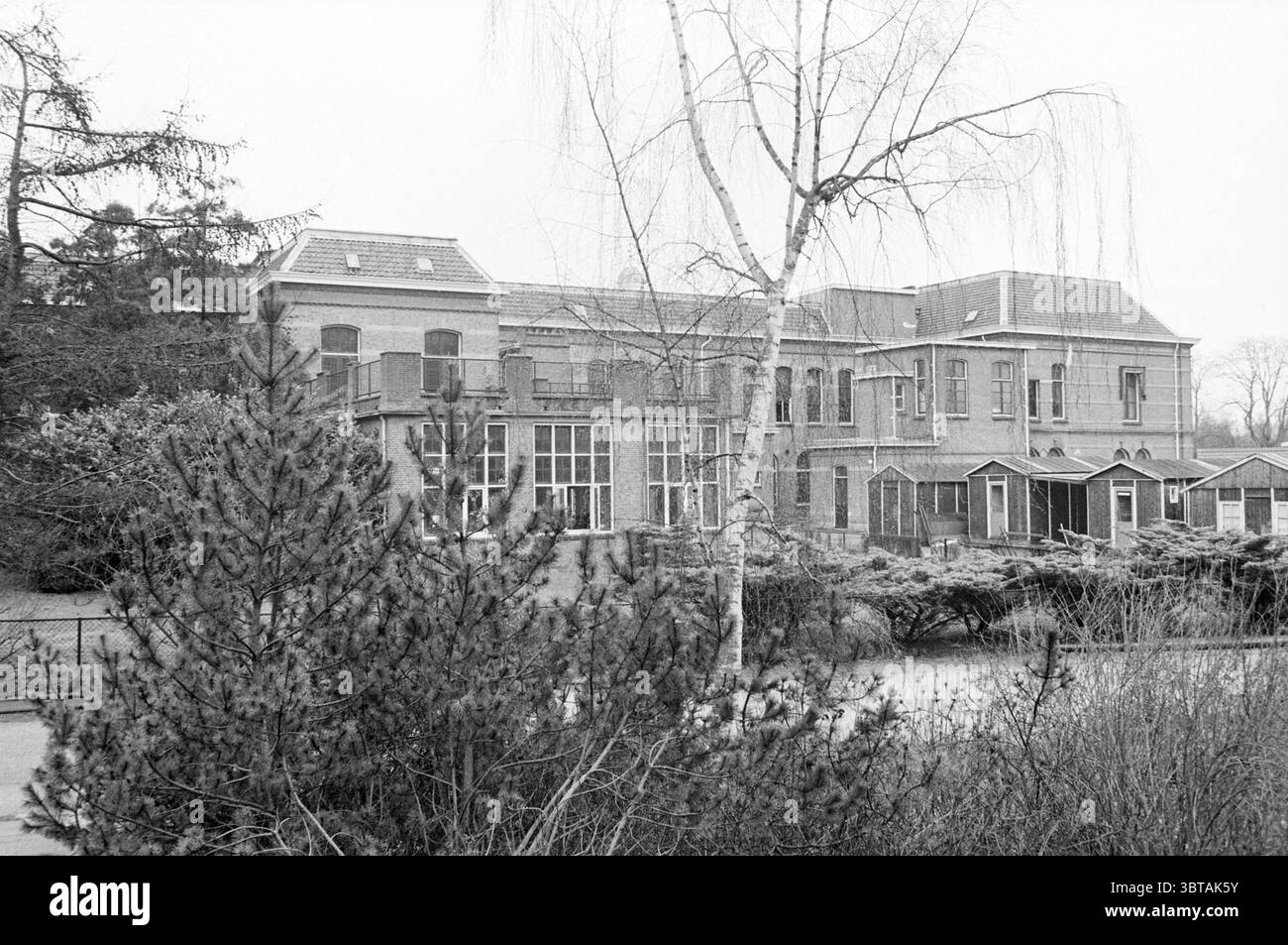 Decorative landscape i Black and White Stock Photos & Images - Alamy