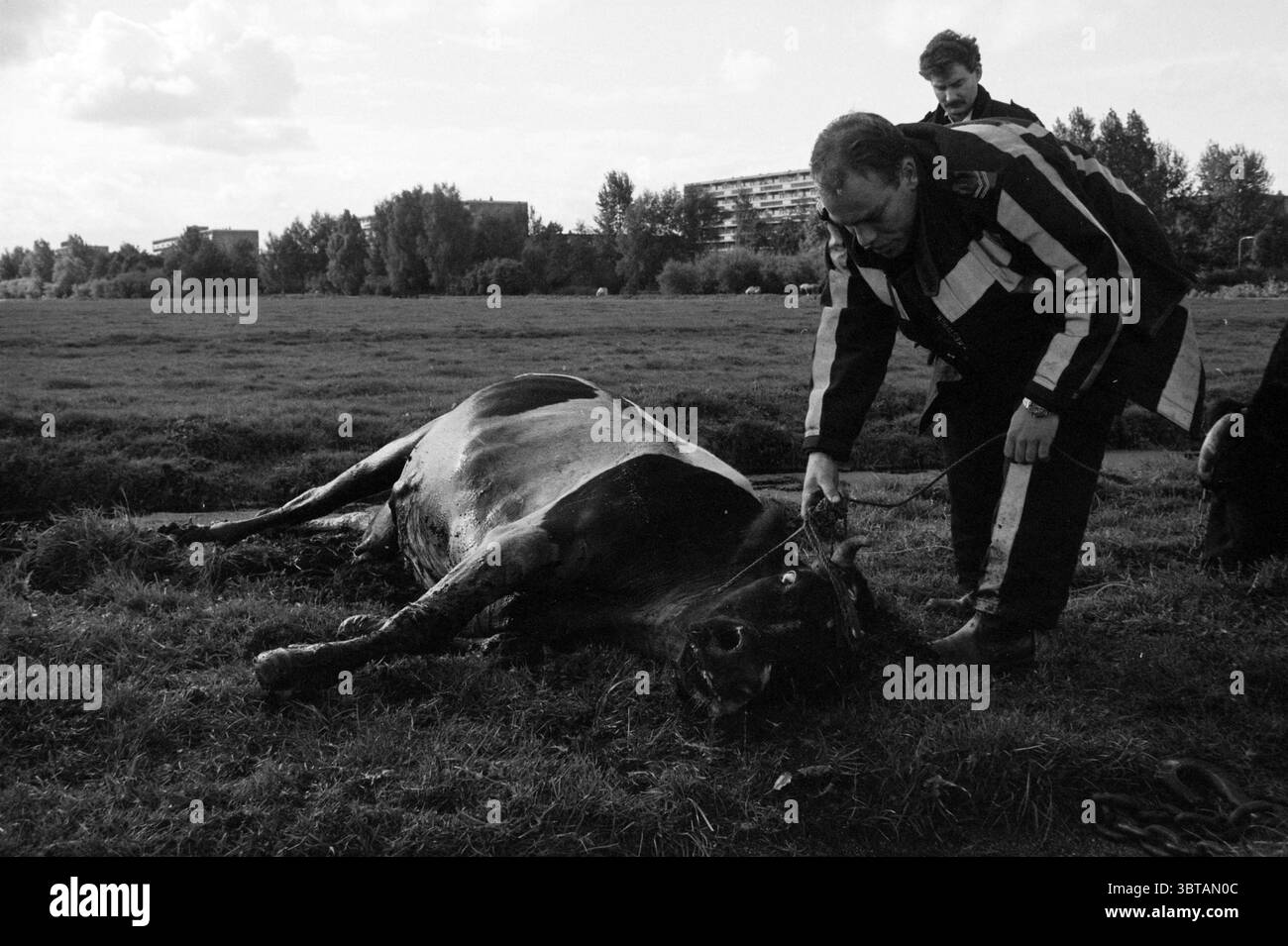Expansive angle Black and White Stock Photos & Images - Alamy
