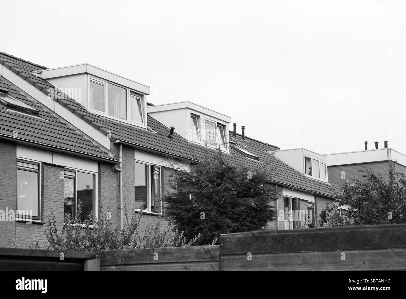 Dormer windows in Velserbroek Velserbroek, Whizgle News, Dutch Desk ...