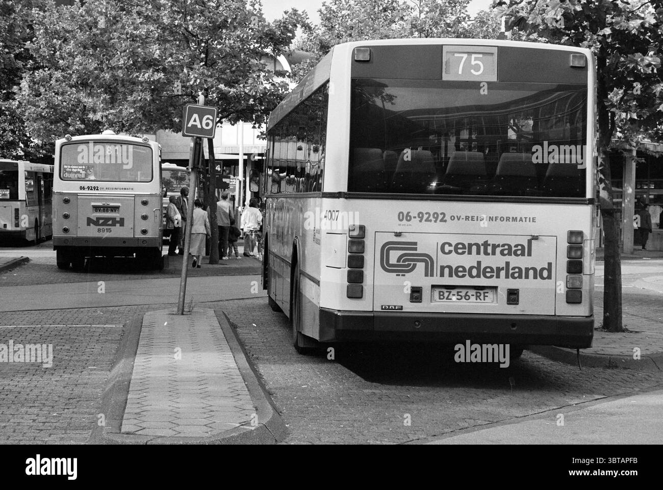 Different color buses Black and White Stock Photos & Images - Alamy