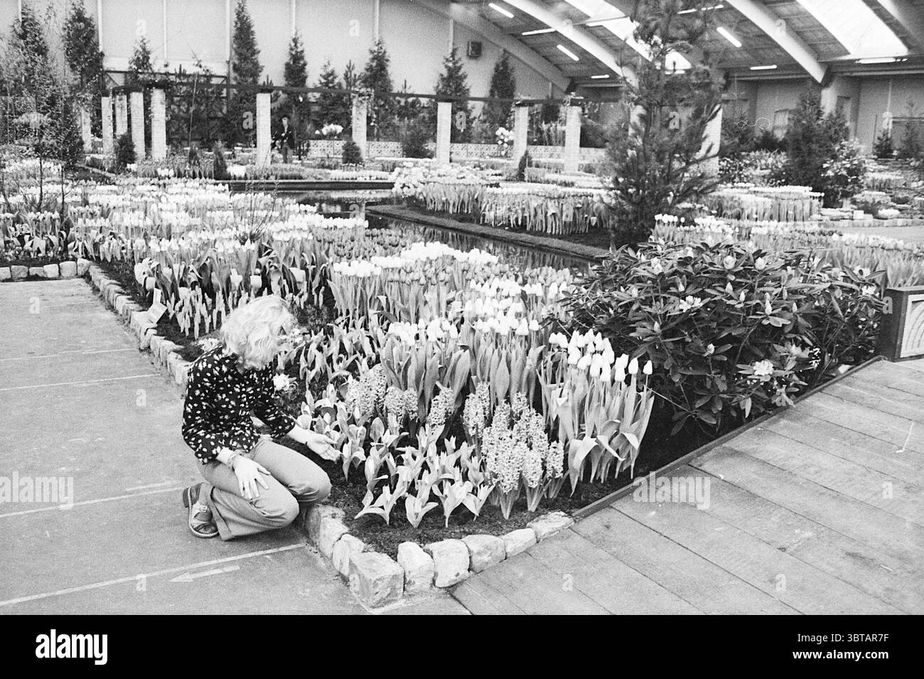 Light colored dots Black and White Stock Photos & Images - Alamy