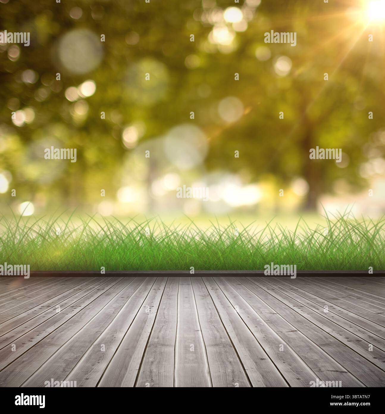 Outdoor park scene hi-res stock photography and images - Alamy
