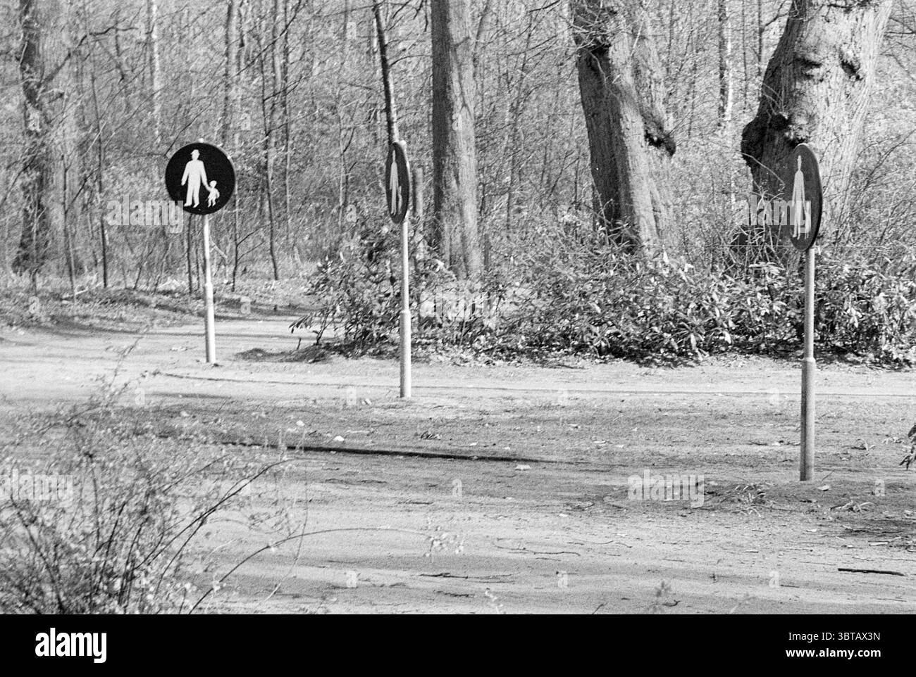 Two directions pathway Black and White Stock Photos & Images - Alamy