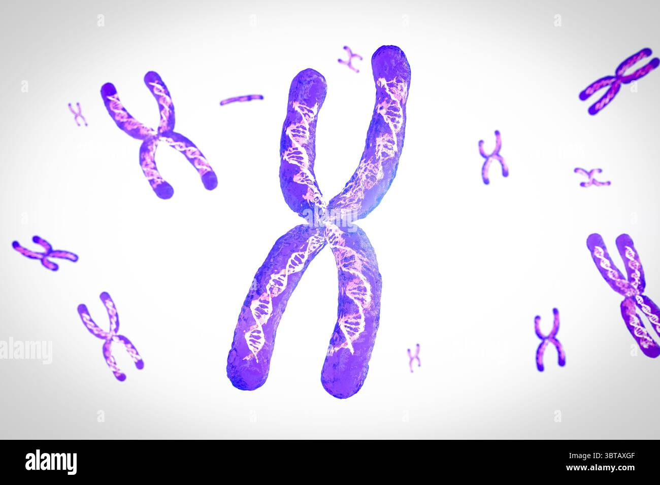 3d rendering transparent chromosome x contain dna strand inside Stock ...